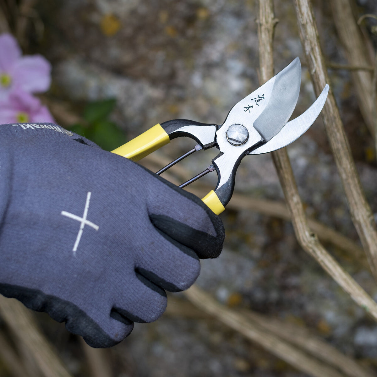 Niwaki Tools Back In Stock – Tom's Yard