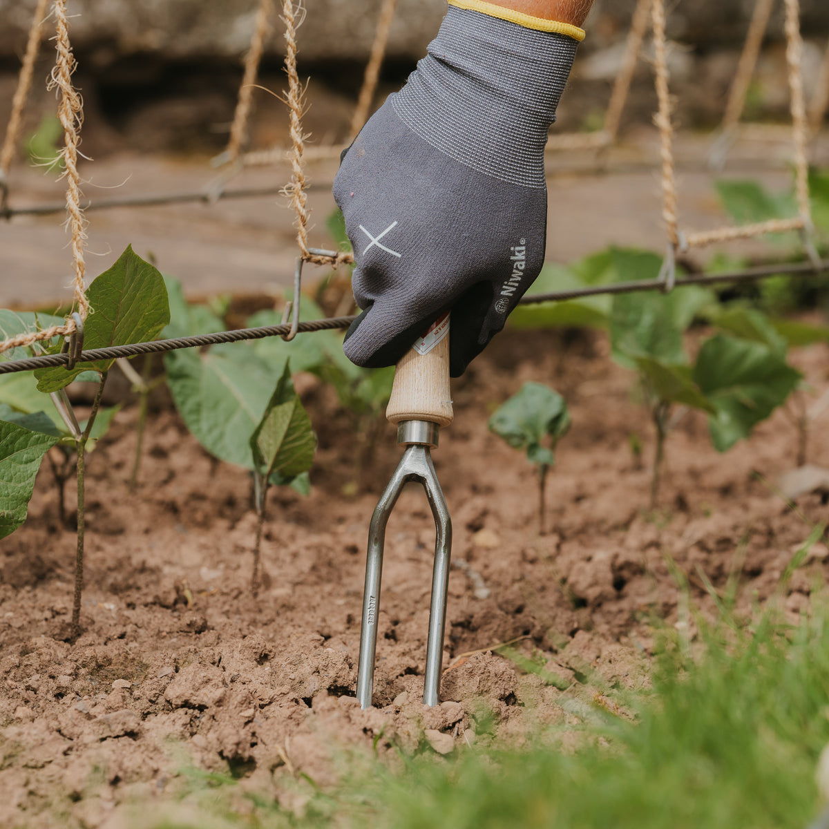 What Will You Find In Thomas' Tool Shed – Tom's Yard
