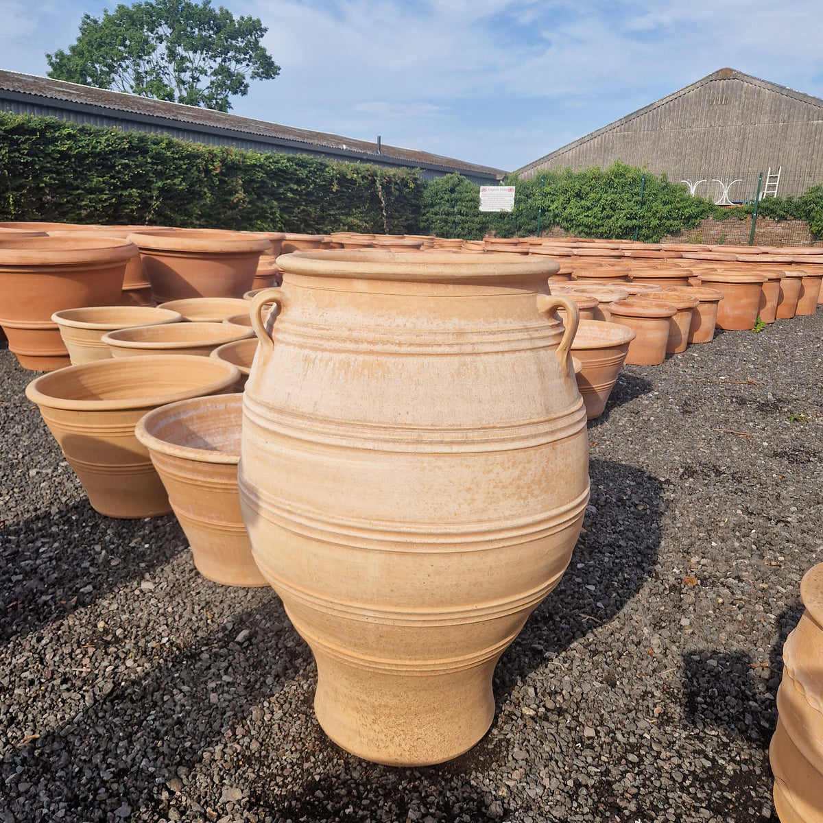 85cm Cretan Vase – Tom's Yard