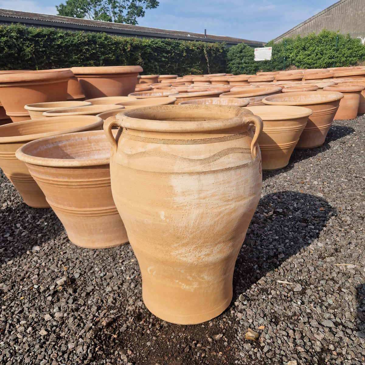 60cm Cretan Vase – Tom's Yard