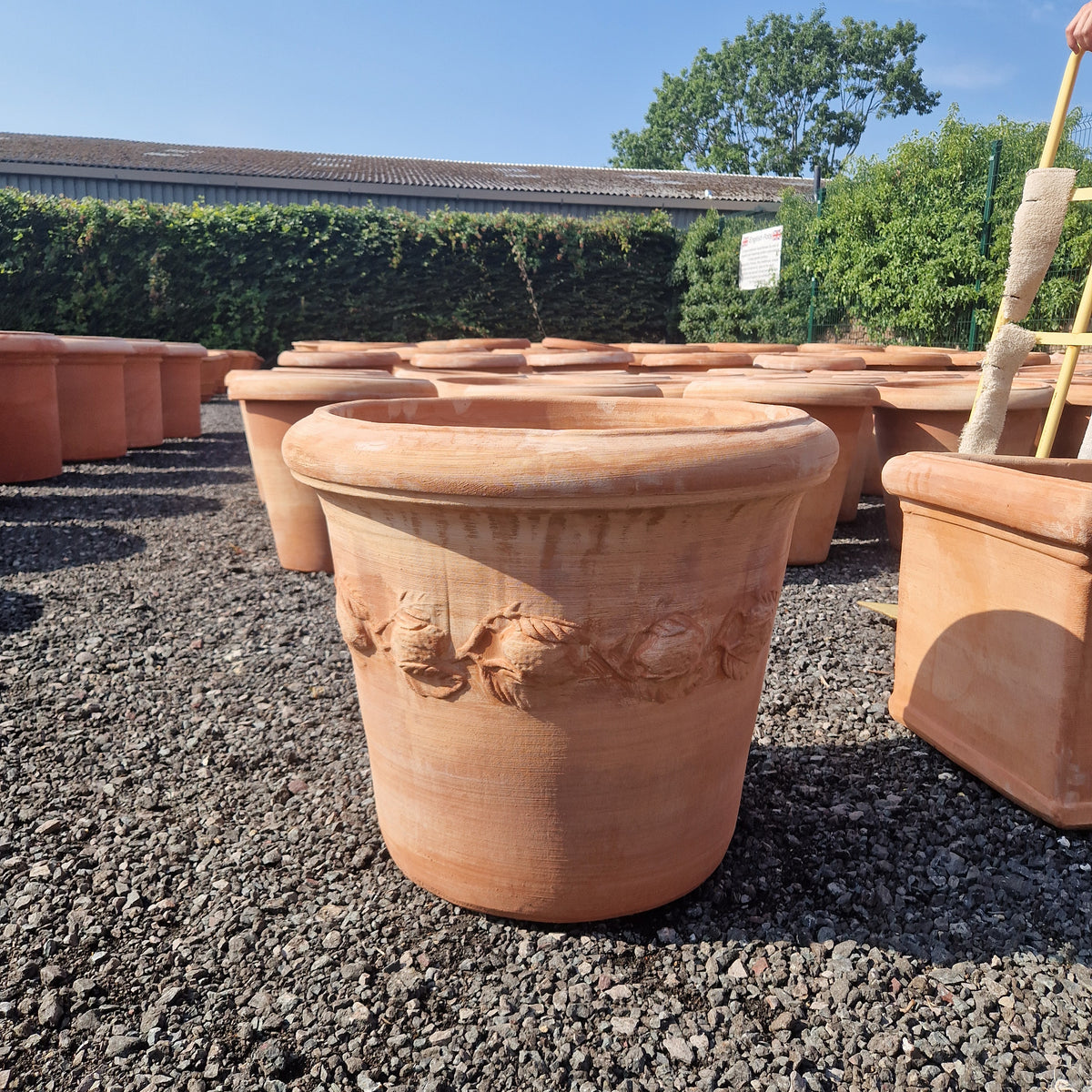 60cm Italian Citrus Planters – Tom's Yard
