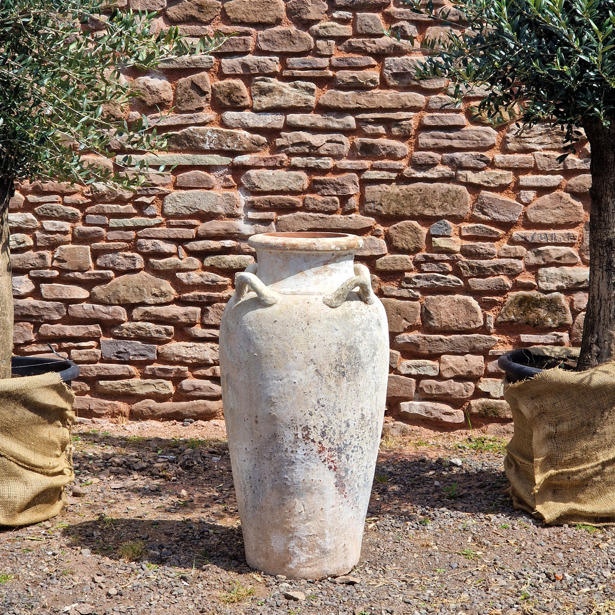 85cm Lobe Handled Glazed Classic Amphora – Tom's Yard