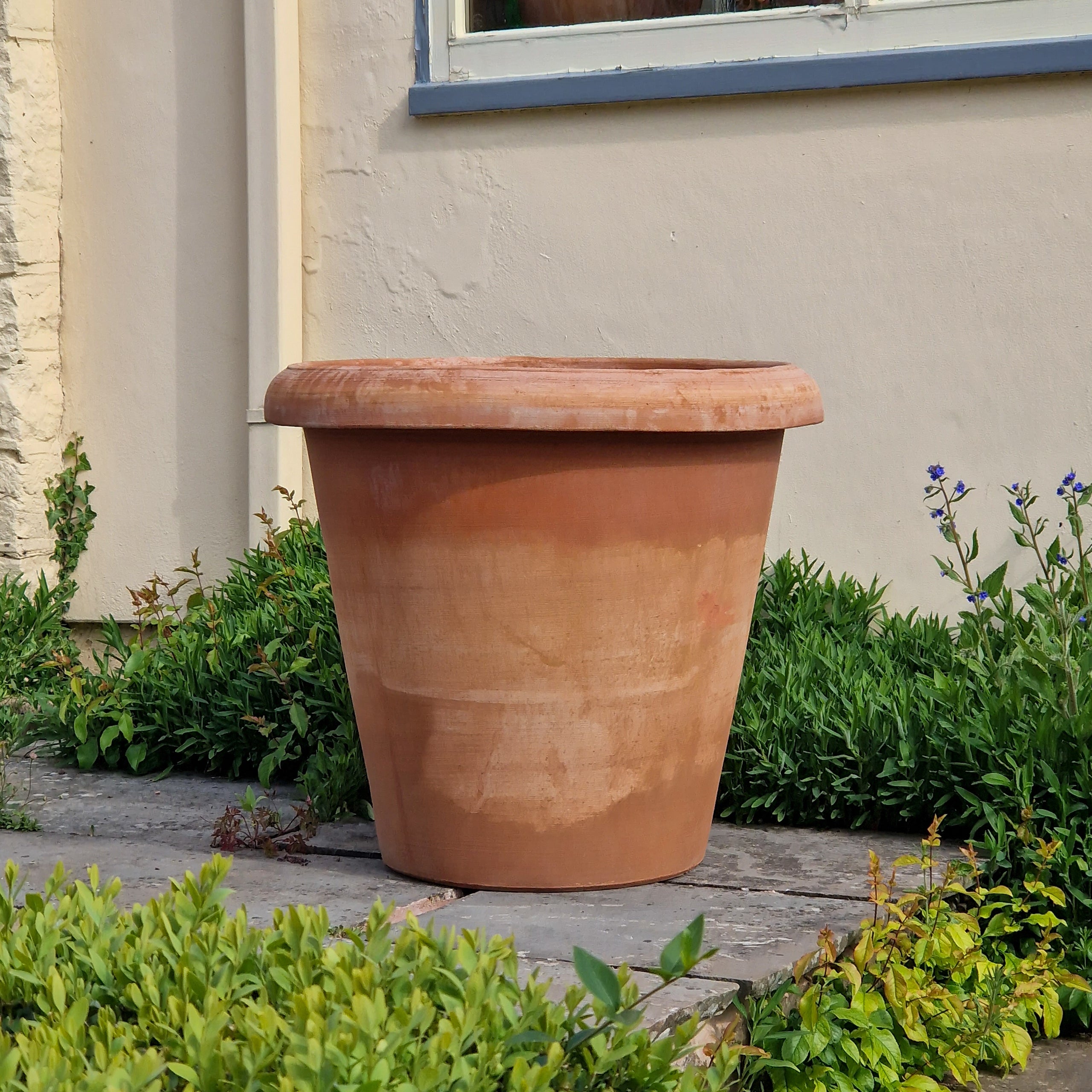Italian Terracotta Pots | Clay Pots & Planters | Tom's Yard