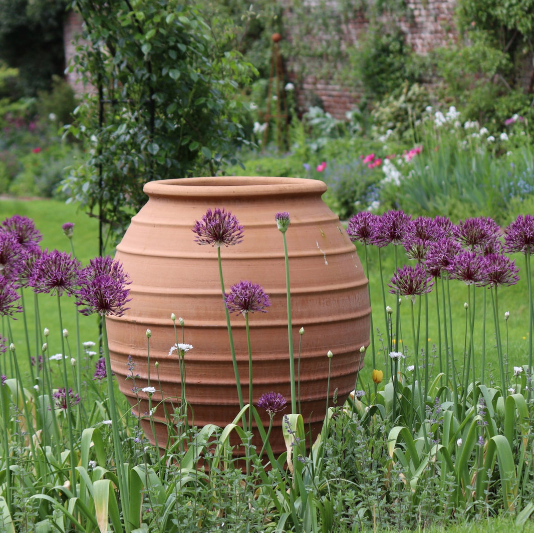 Cretan Terracotta Pots | Clay Pots & Planters | Tom's Yard
