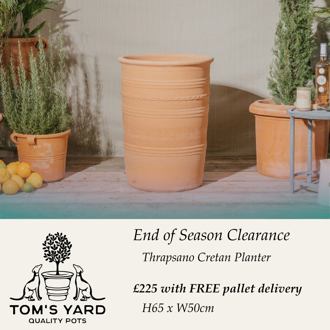 Thrapsano Cretan Terracotta Planter – Tom's Yard