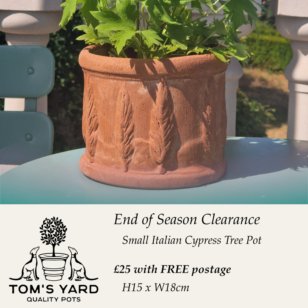 Italian Terracotta Pots | Clay Pots & Planters | Tom's Yard