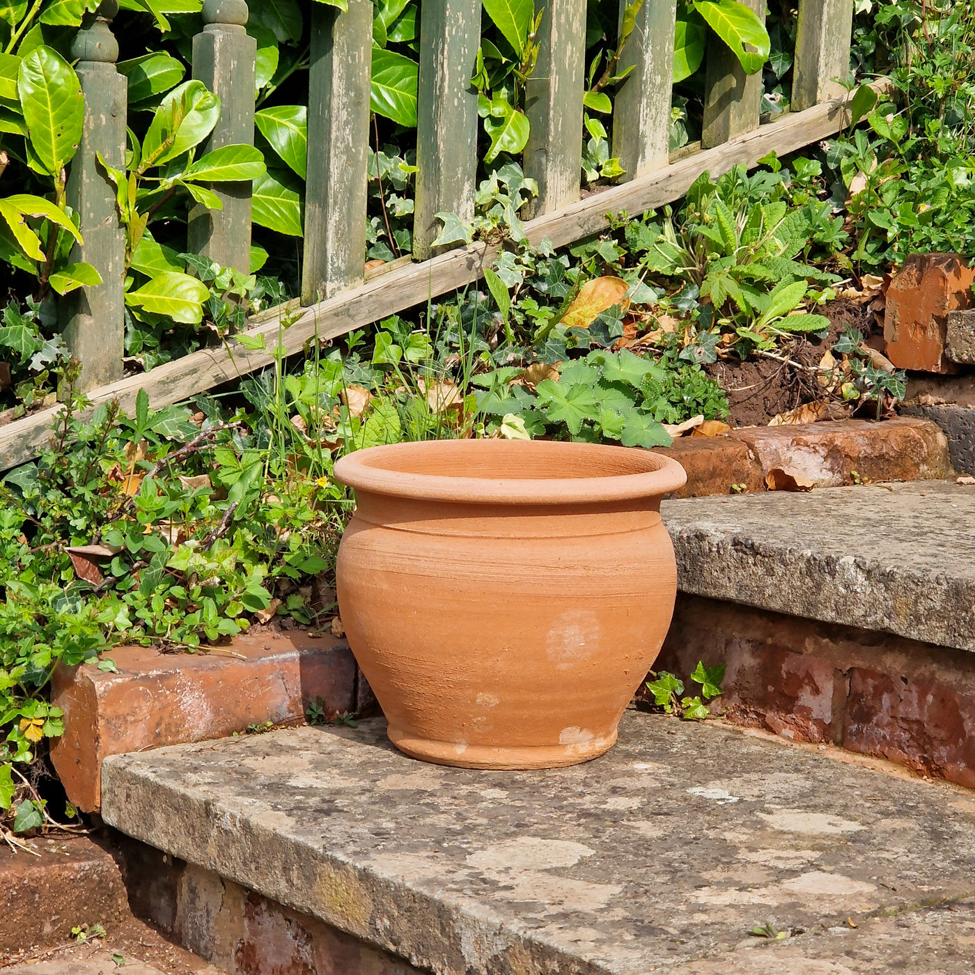 Italian Terracotta Pots | Clay Pots & Planters | Tom's Yard