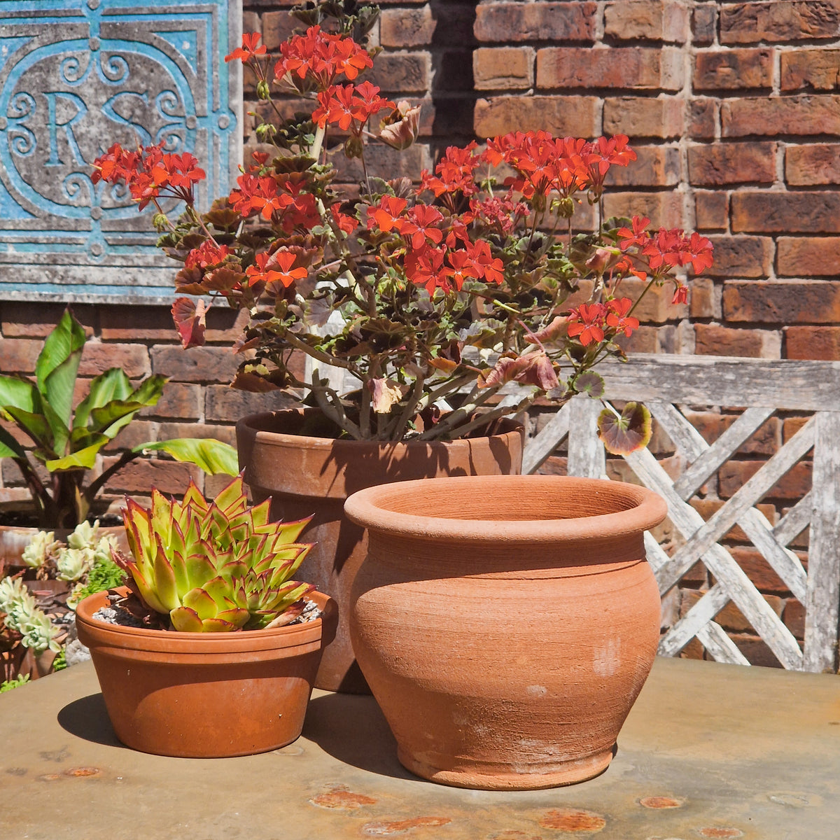 Fra Angelico Italian Terracotta Pot Planter – Tom's Yard