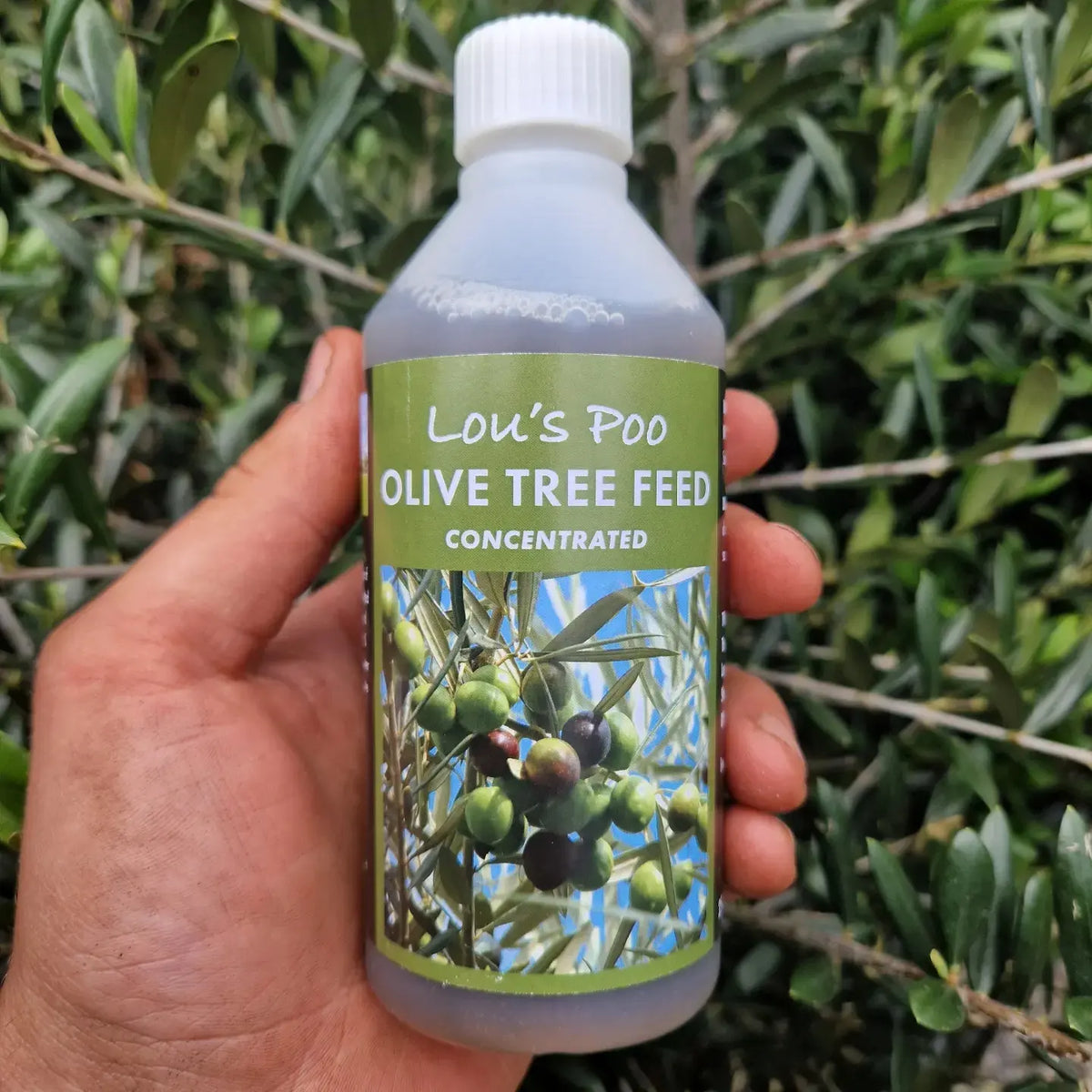 Olive Tree Feed (Liquid Concentrate) – Tom's Yard