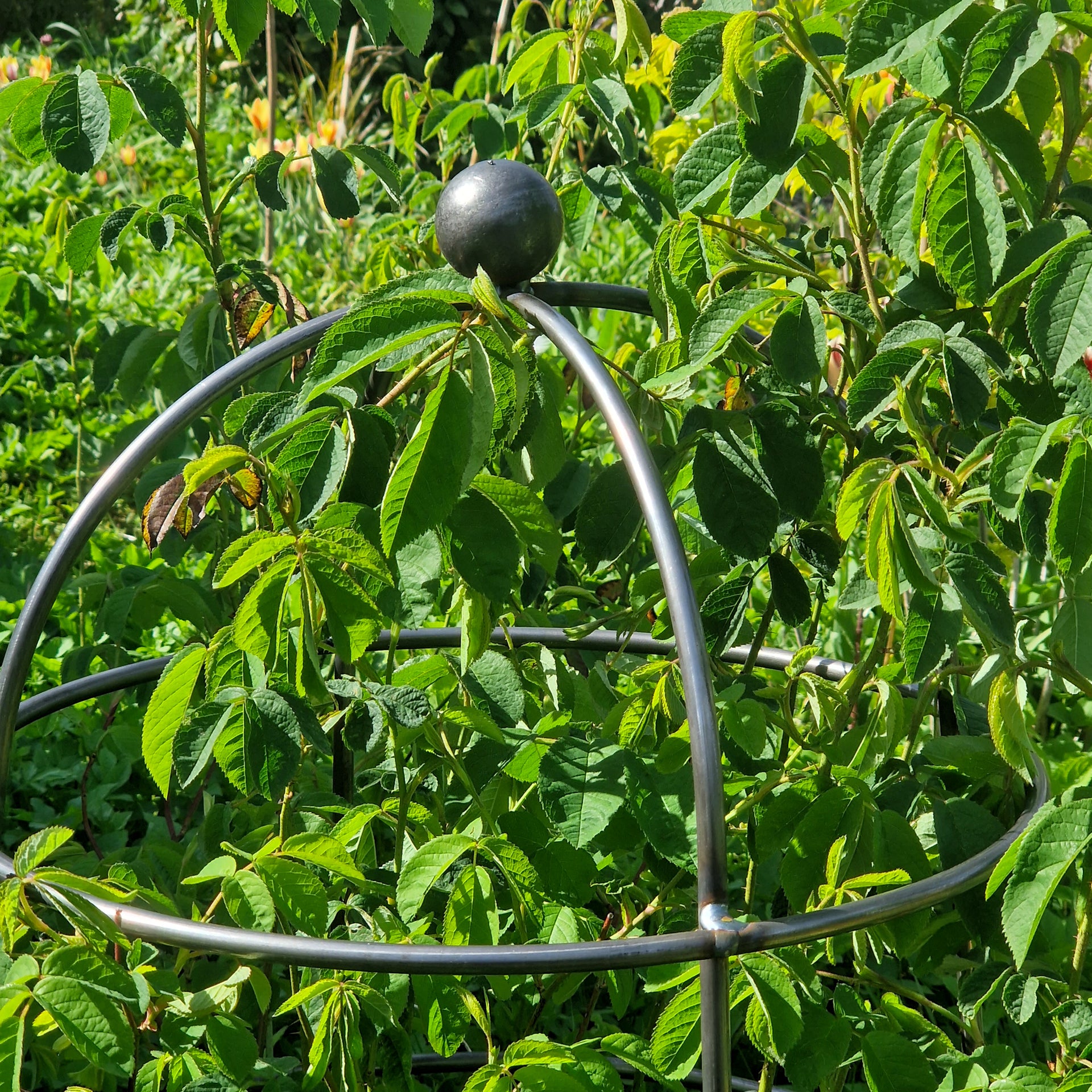 6ft Pyramid Solid Steel Obelisk Plant Support – Tom's Yard