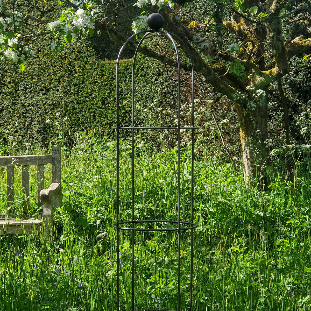 6ft Round Obelisk Plant Support – Tom's Yard