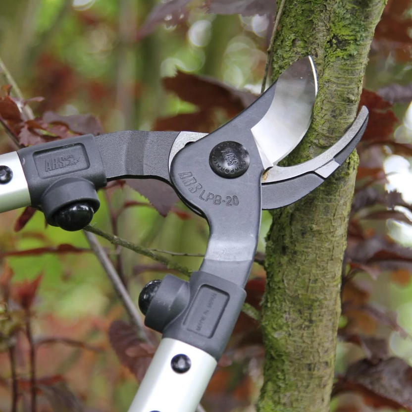 ARS Professional Lopping Shears – Tom's Yard