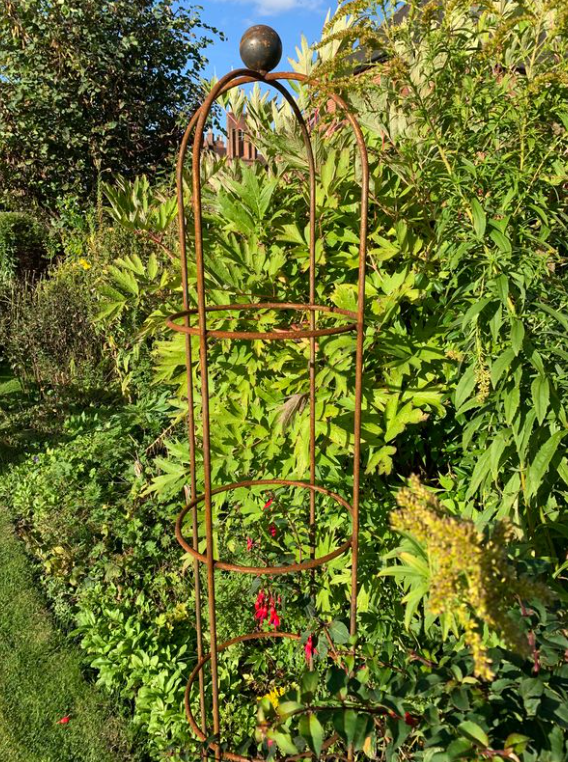 6ft Round Obelisk Plant Support – Tom's Yard