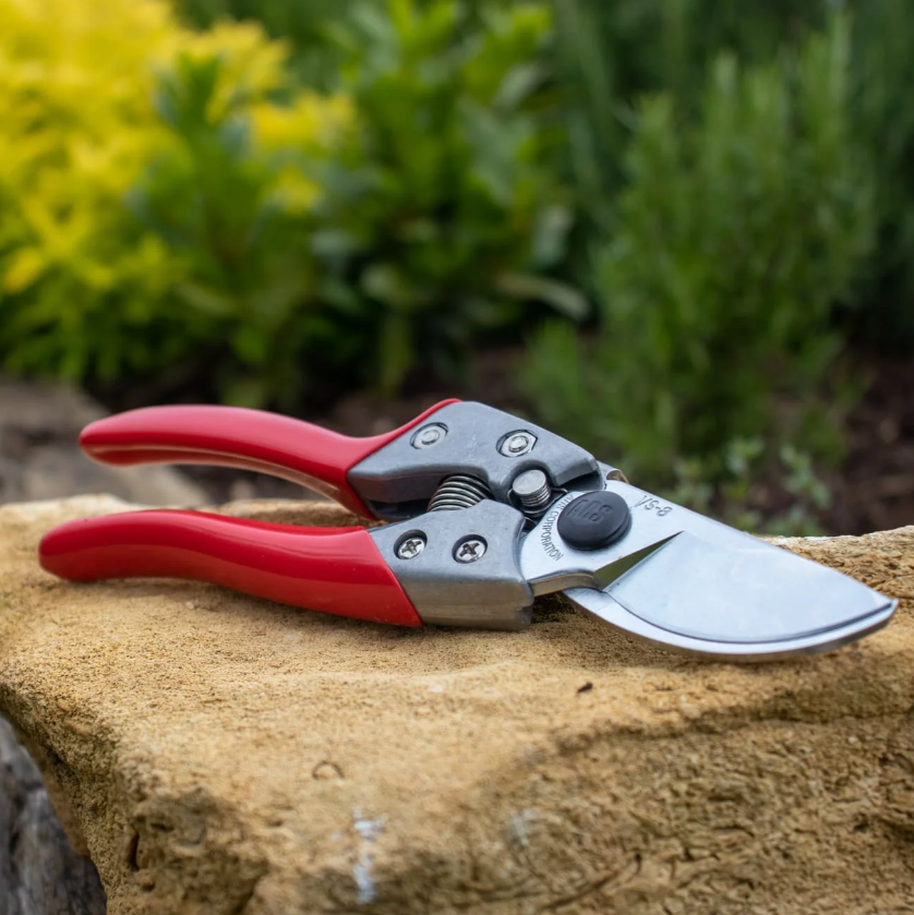 Professional Grade Japanese Secateurs – Tom's Yard
