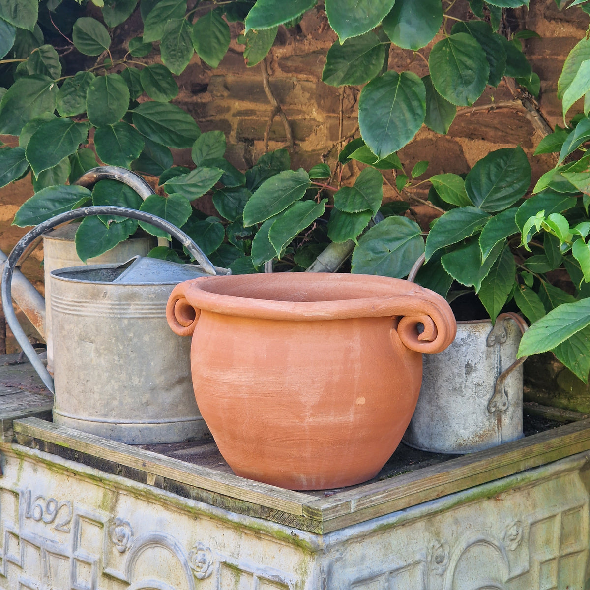 Da Vinci Italian Terracotta Scroll Pot – Tom's Yard