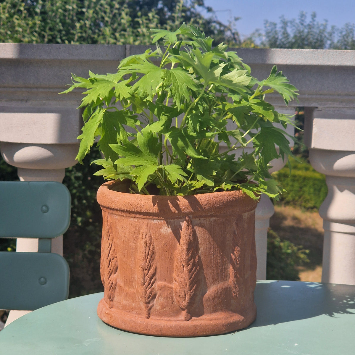 Italian Terracotta Pots | Clay Pots & Planters | Tom's Yard