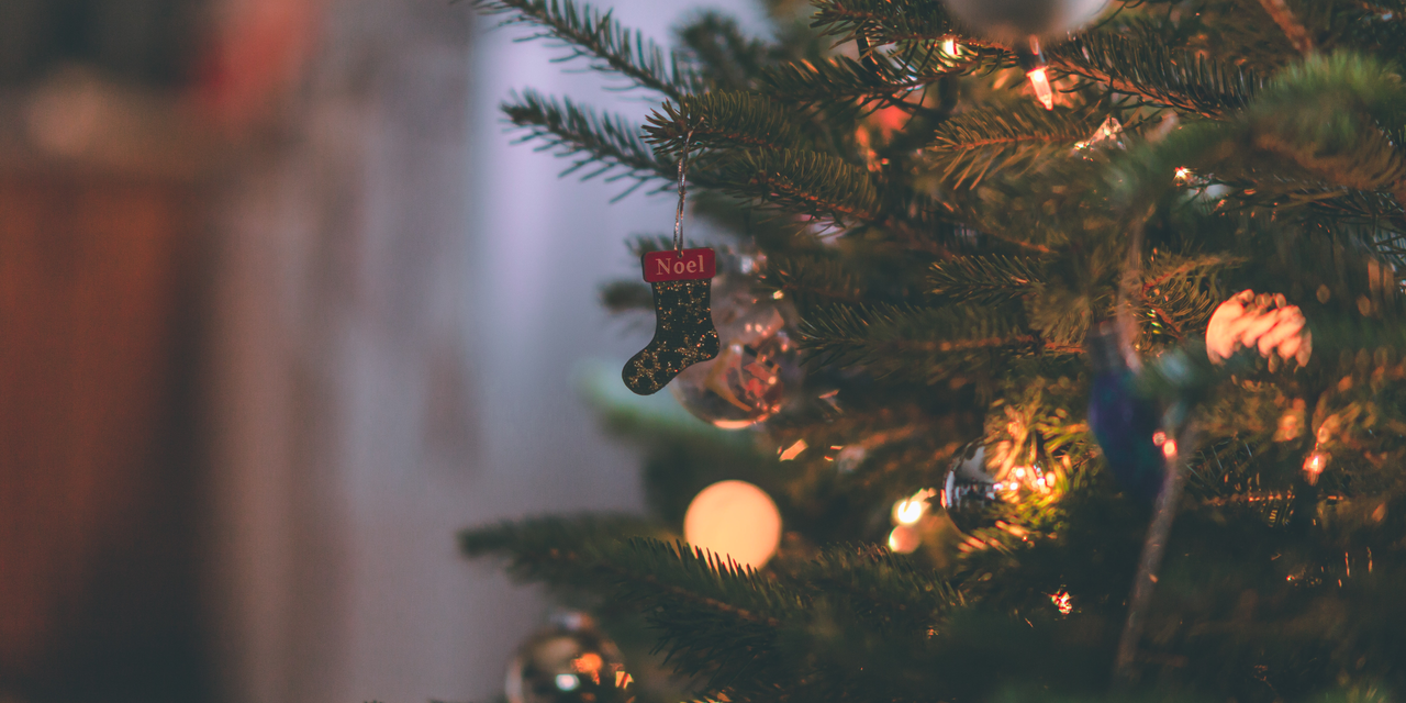 HAWS Watering Cans – Tom's Yard