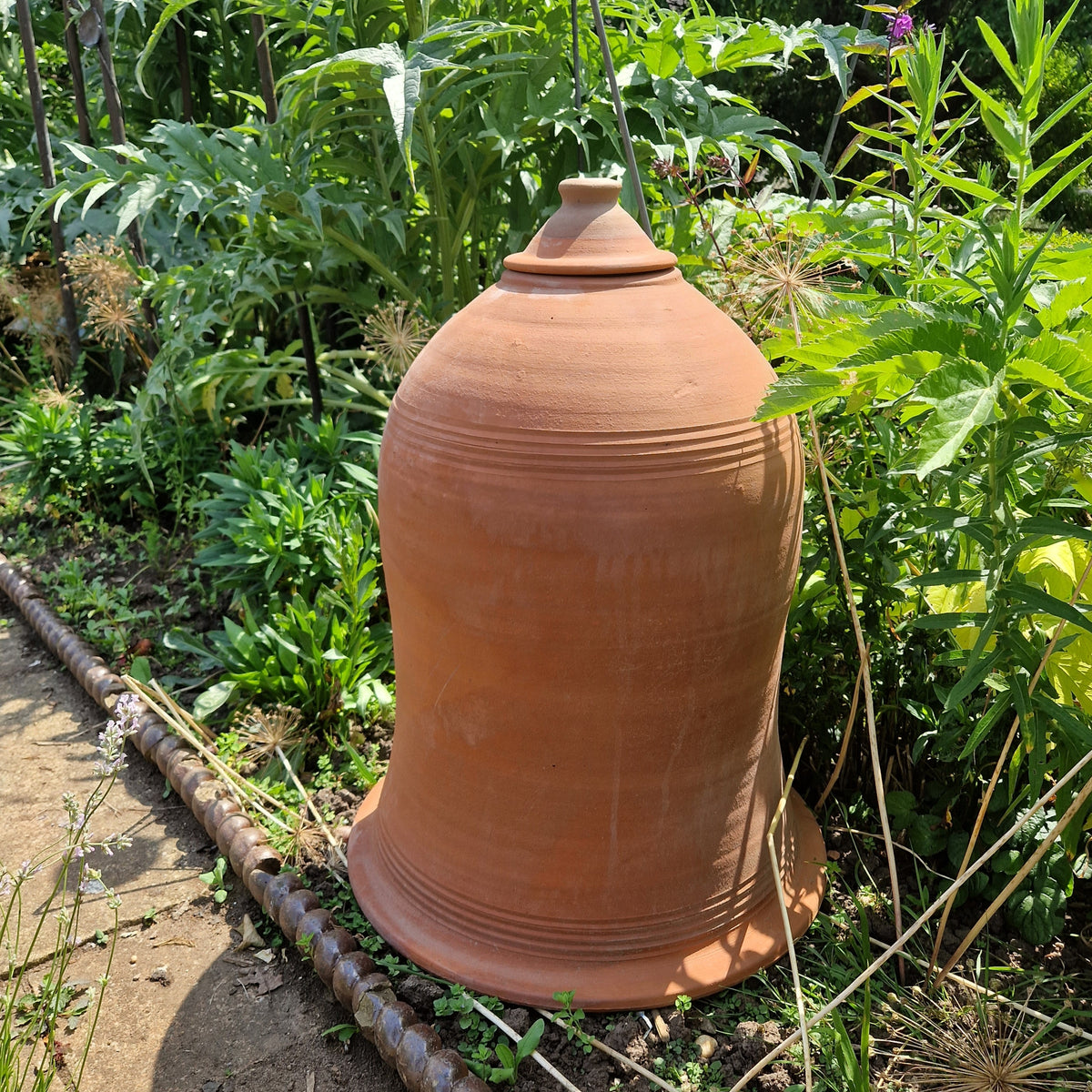 Tom's Traditional Terracotta Rhubarb Forcer – Tom's Yard