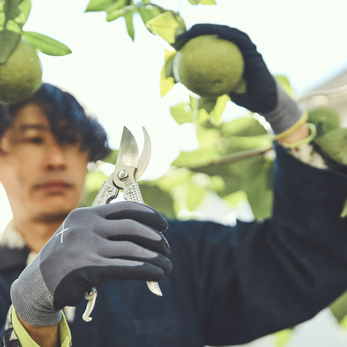 Niwaki Shumatsu Secateurs – Tom's Yard